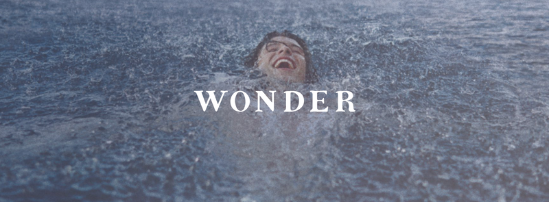Wonder Music - Shawn Mendes Official Store